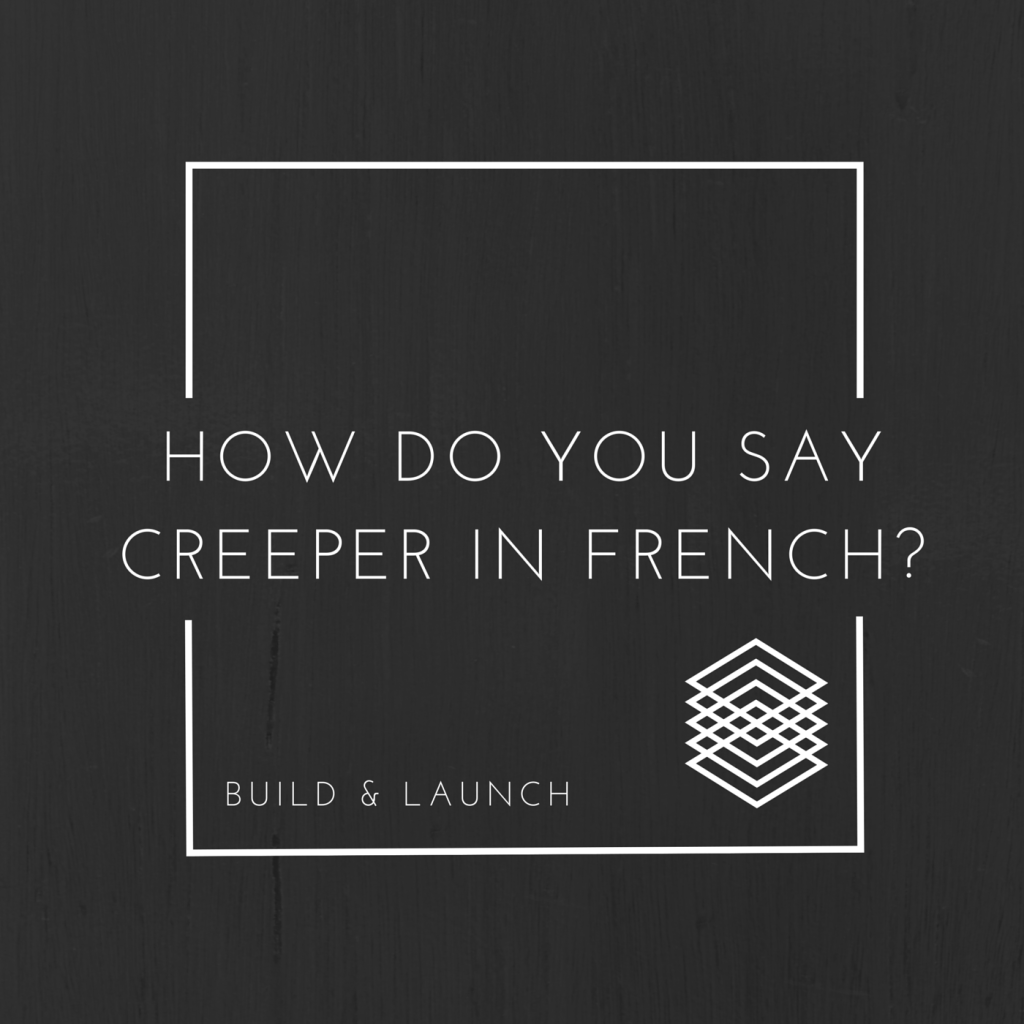 EP4 How Do You Say Creeper In French Build And Launch ep4-how-do-you-say-creeper-in-french-build-and-launch